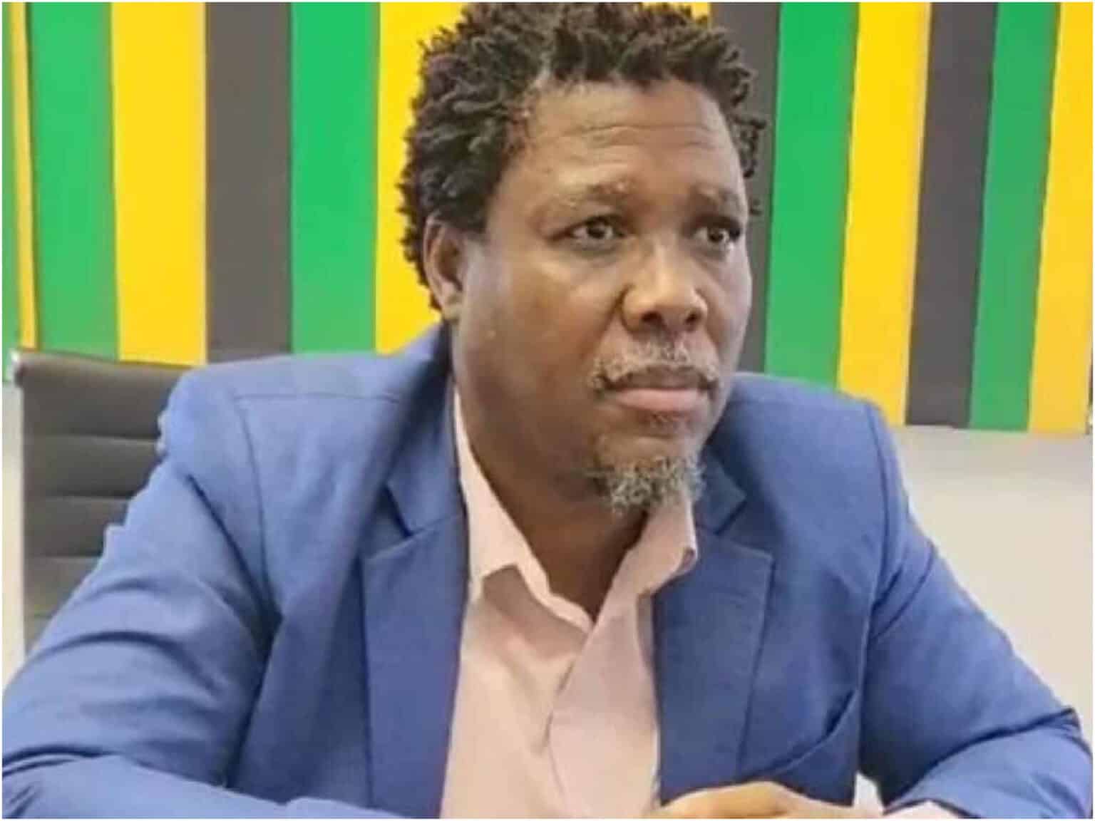 ‘Buffoon, moron’: Nehawu blasts ANC KZN's Bheki Mtolo | The Citizen