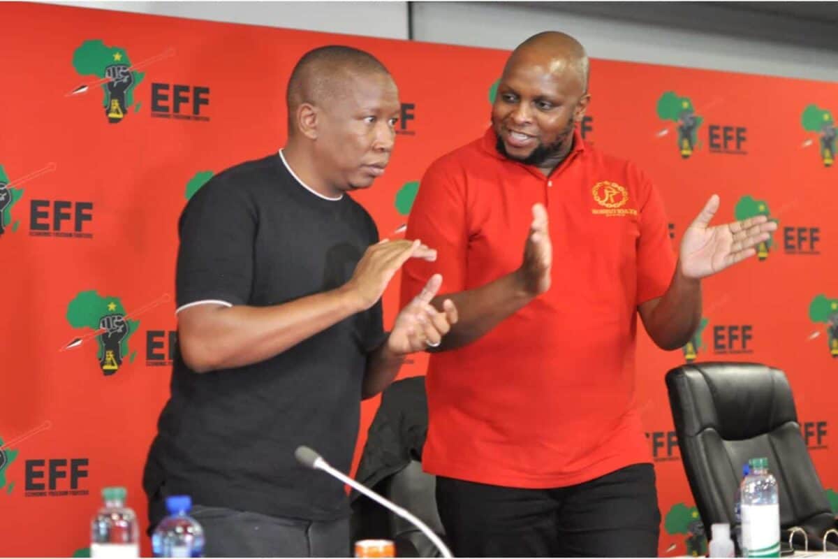 VBS: Matodzi accuses Malema and Shivambu of 'fleecing millions'