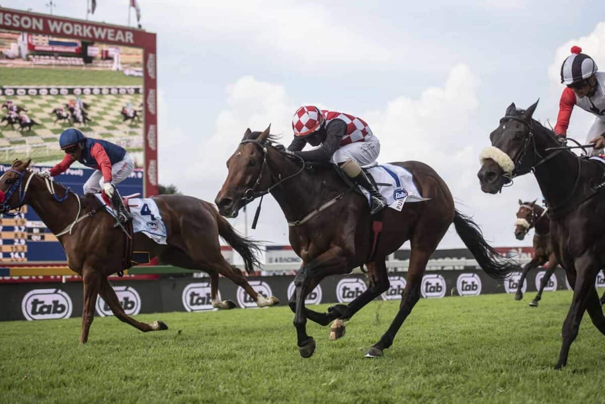 Rundown of the Durban July runners | The Citizen