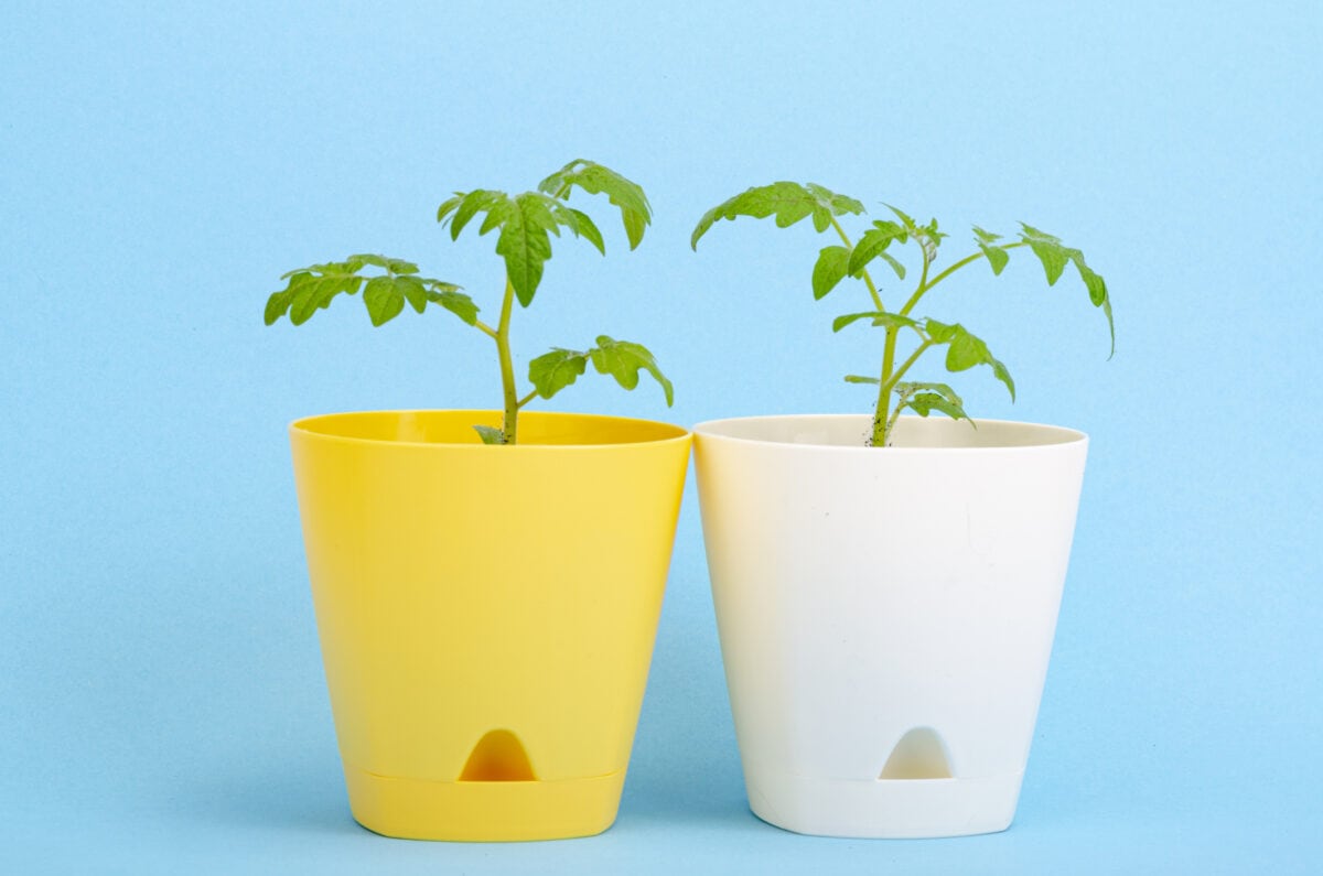 Two-pot retirement system: If you plan to use it, talk to your fund now