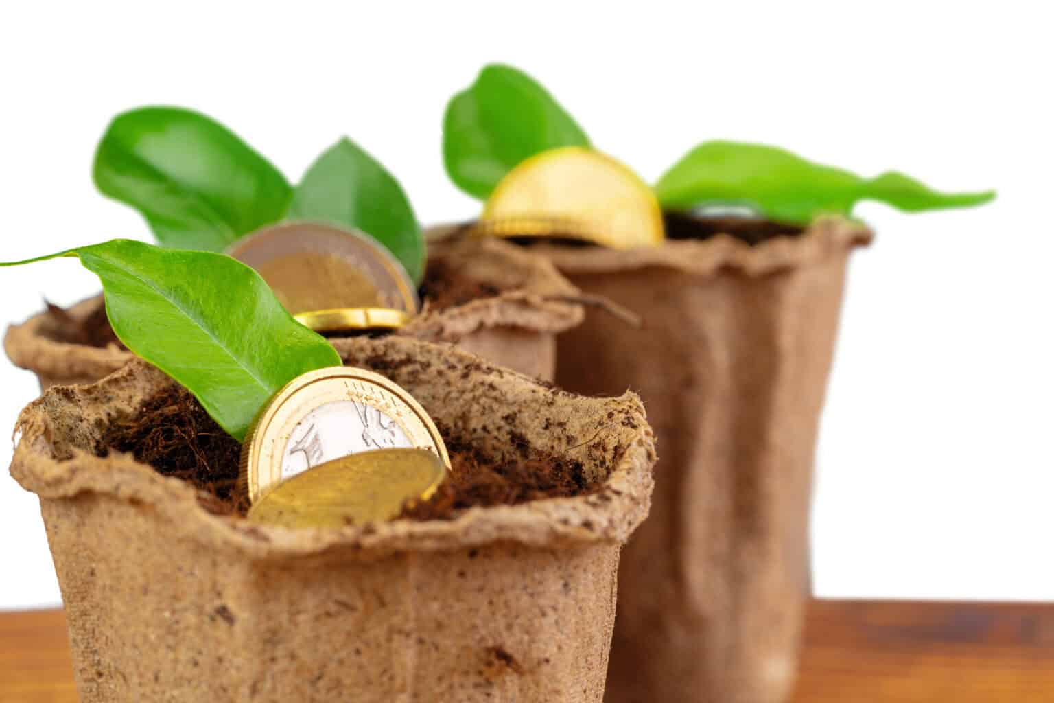 Pension fund members hope to pay off debt from two-pot retirement ...