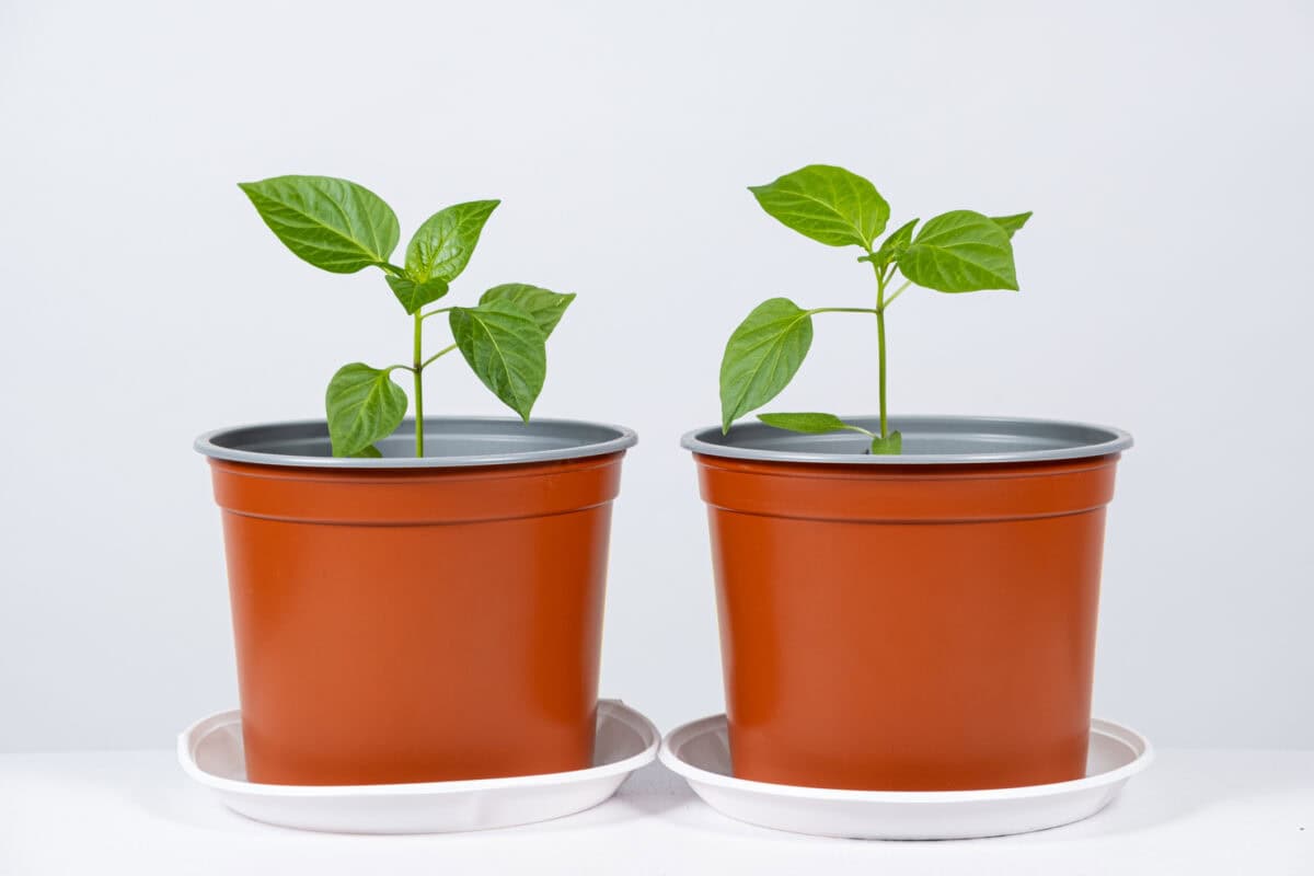 The practical implications of the two-pot retirement system