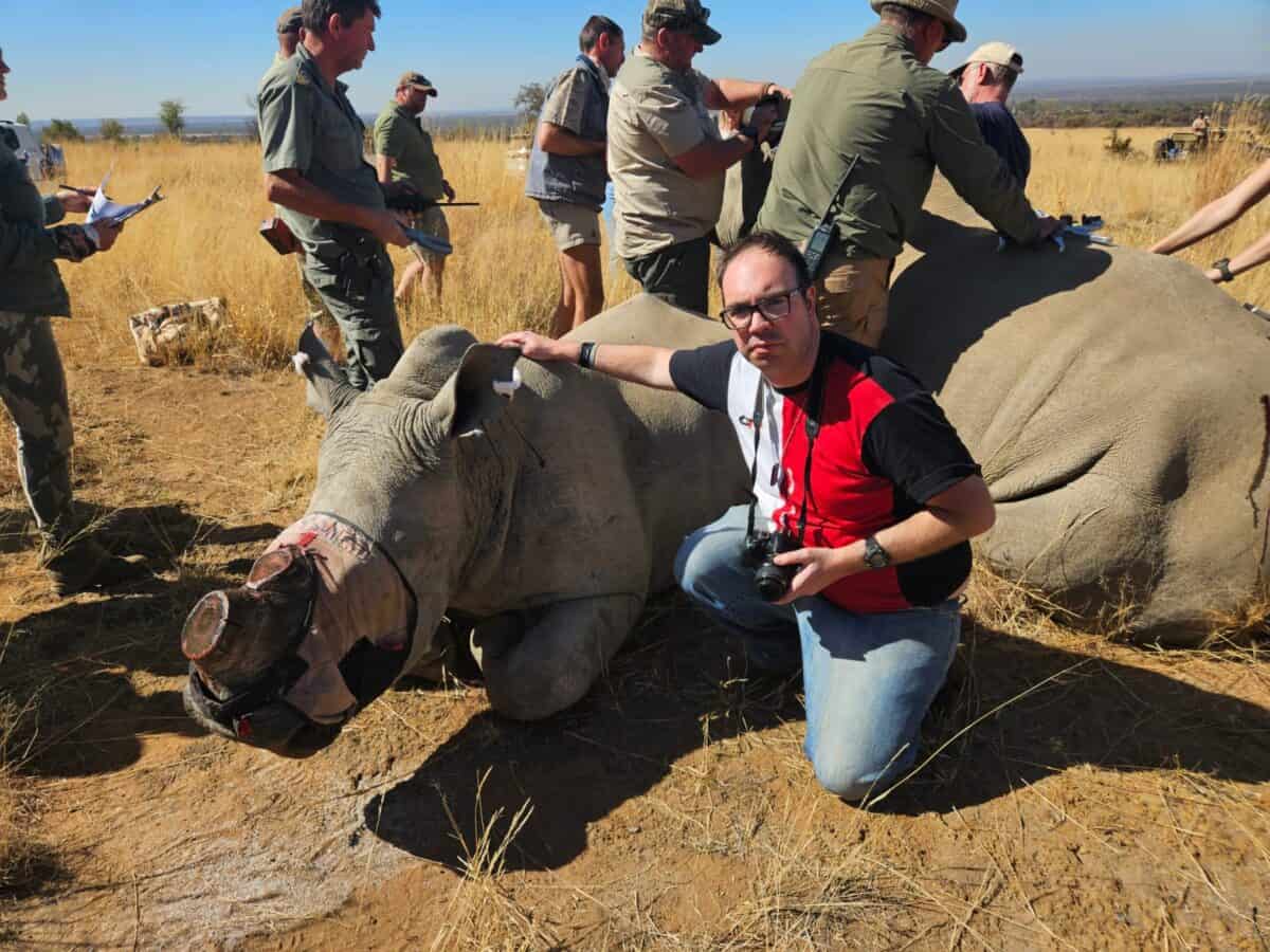 Horns off, hope on: The stark truth behind rhino dehorning | The Citizen