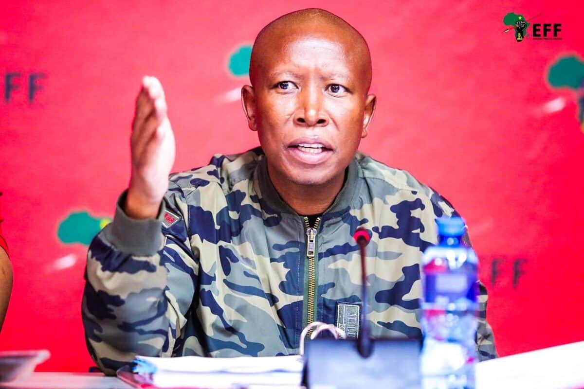 'Why follow cowards?': Malema tells disloyal EFF members to leave like ...