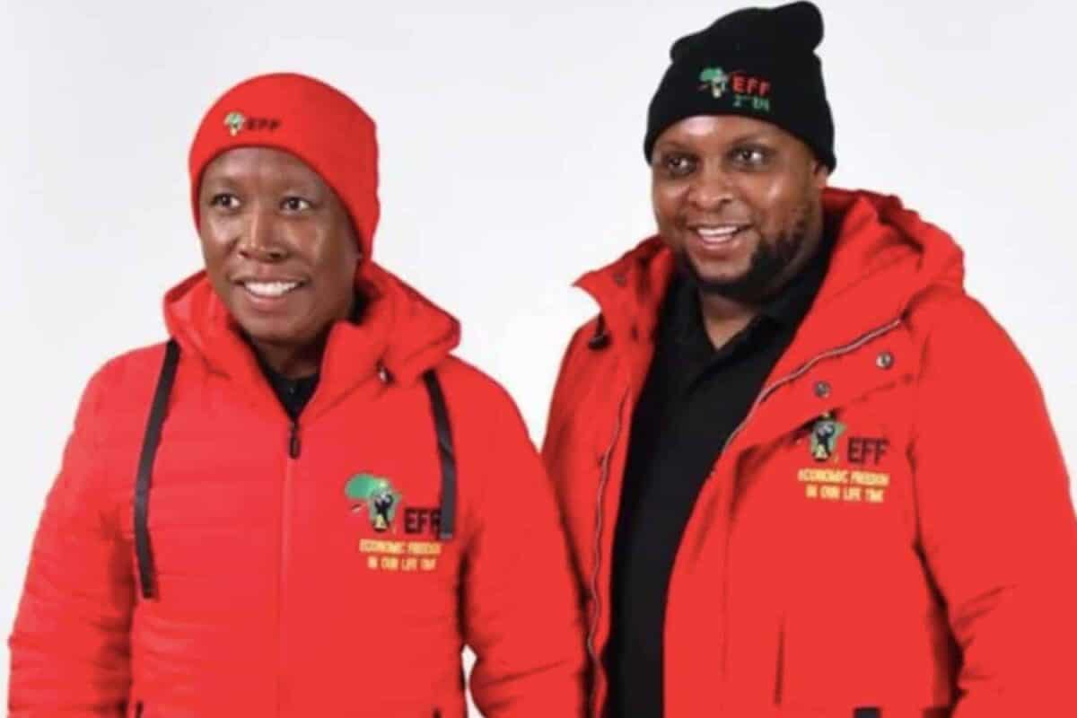 Malema's fears of being toppled as leader left EFF out of GNU