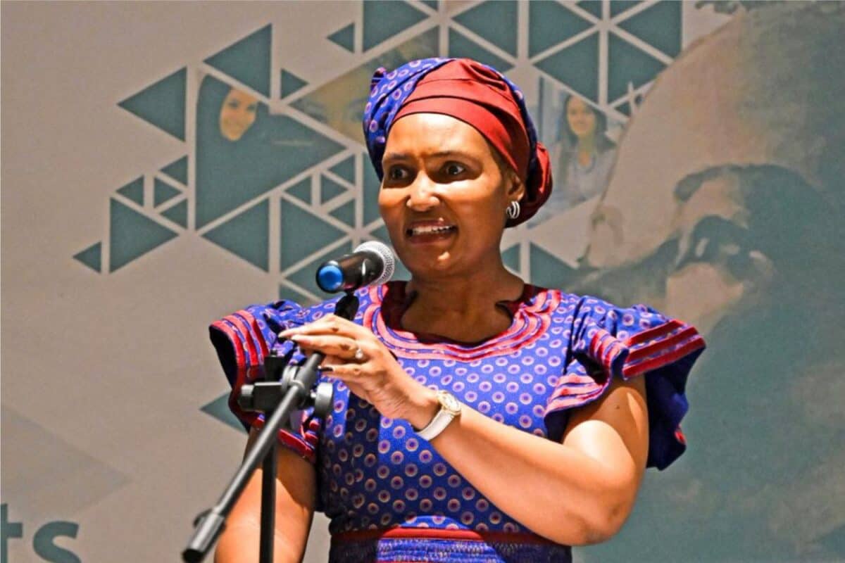 VBS Bank: Complaint over Justice Minister Simelane's 'dodgy' loan