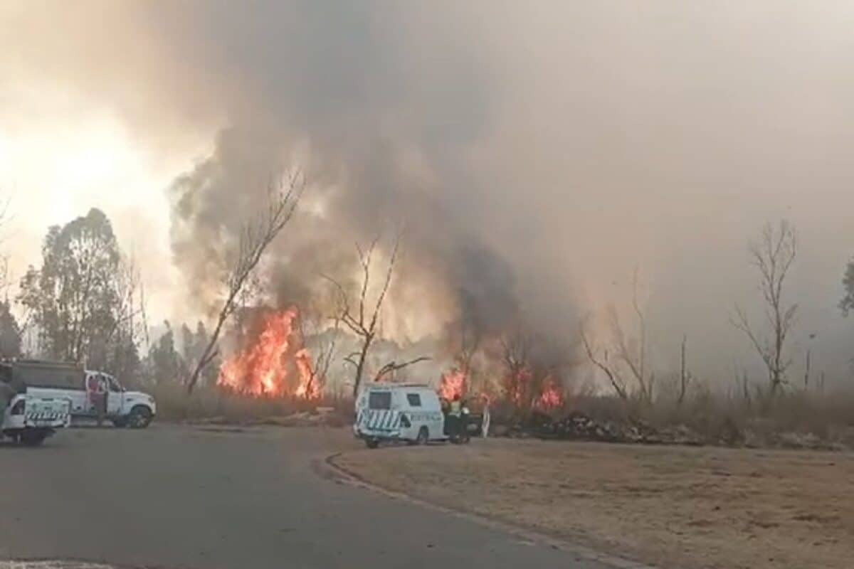 Veld fires trigger widespread power outage in Joburg — these are the ...