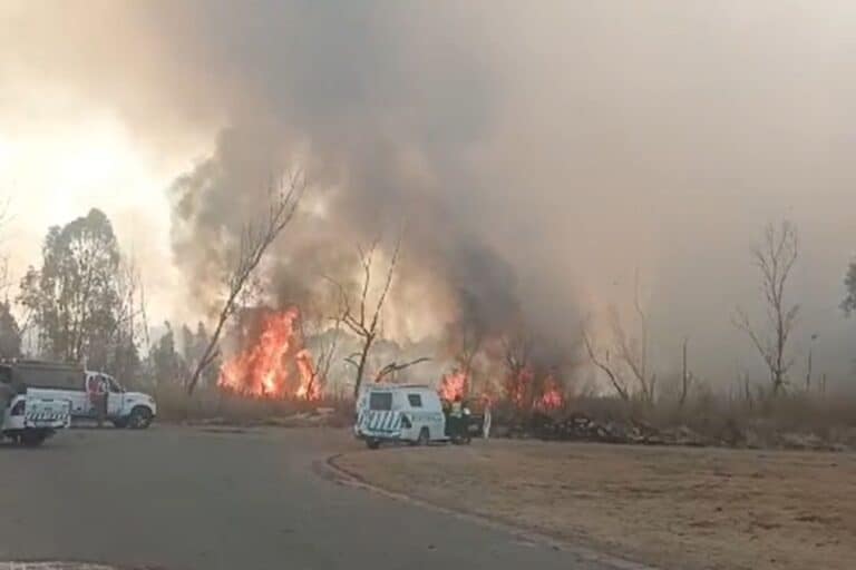 Veld fires trigger widespread power outage in Joburg — these are the ...