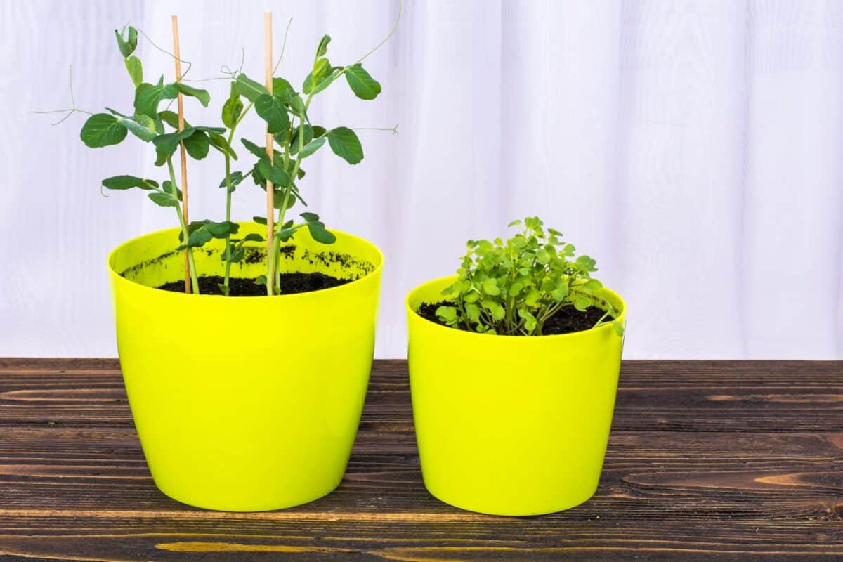 Two-pot retirement system: Do you know enough?