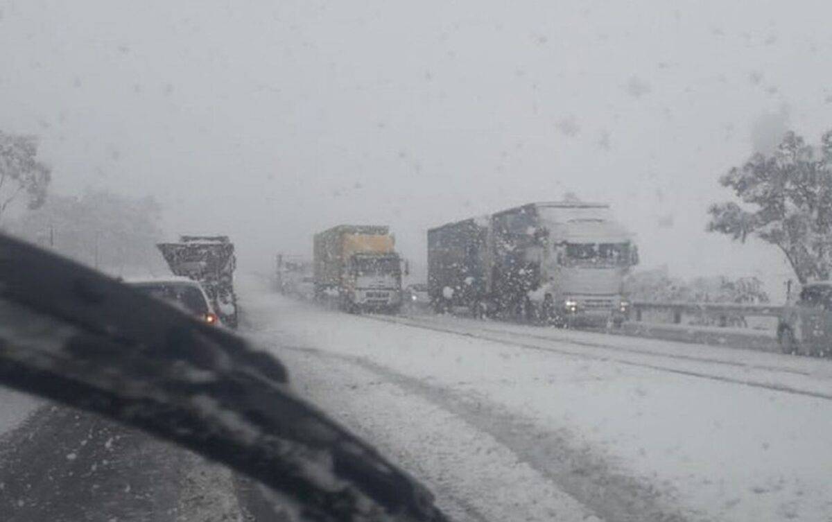 Snow in KZN: Why was SA’s disaster management caught off guard? | The ...
