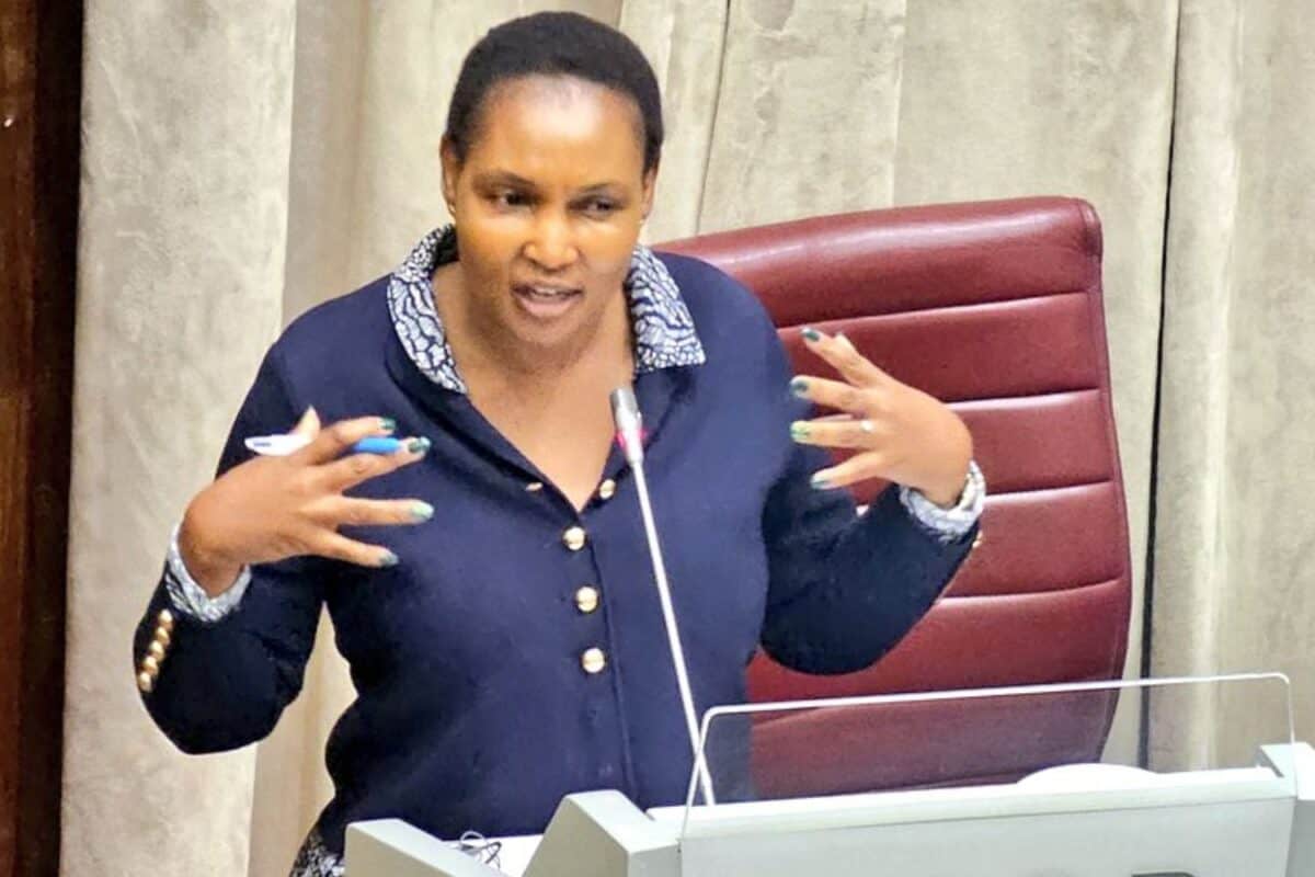 Thembi Simelane will not be shielded from VBS allegations - Nel