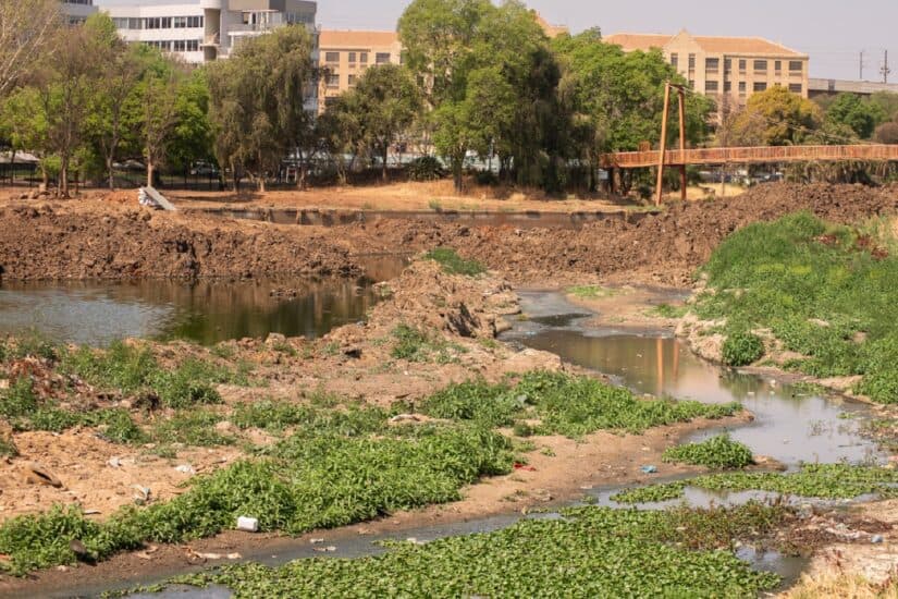 'We are not working towards an end goal': After 5 years and R50m ...