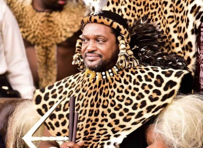Controversy over Zulu king’s new palace