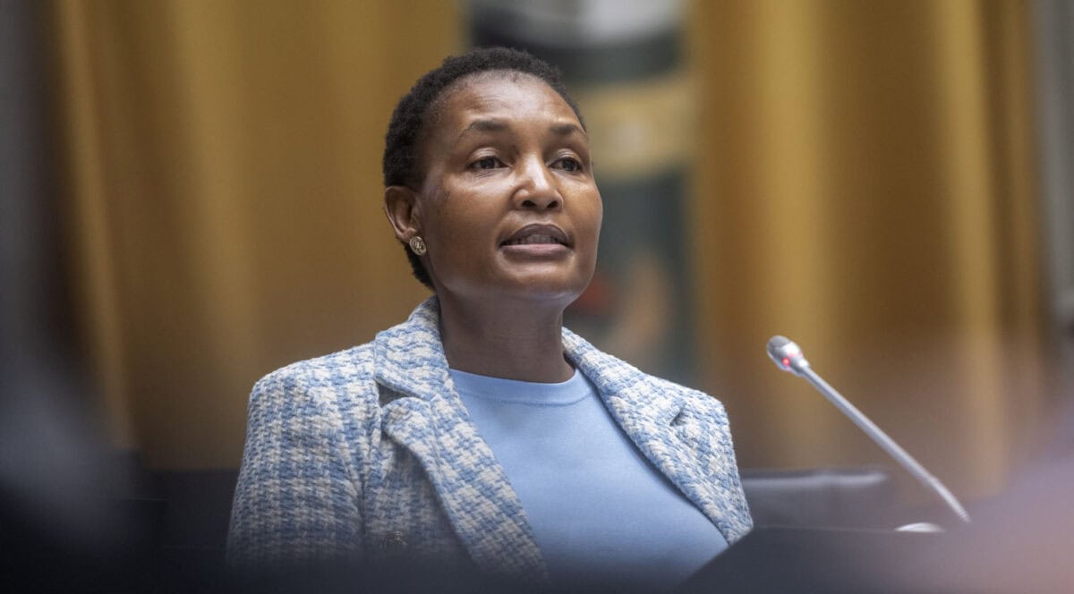 DA files criminal charges against minister Thembi Simelane over alleged ...