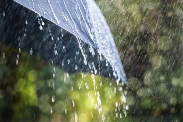 Gauteng braces for more rain after relief from heatwave | The Citizen