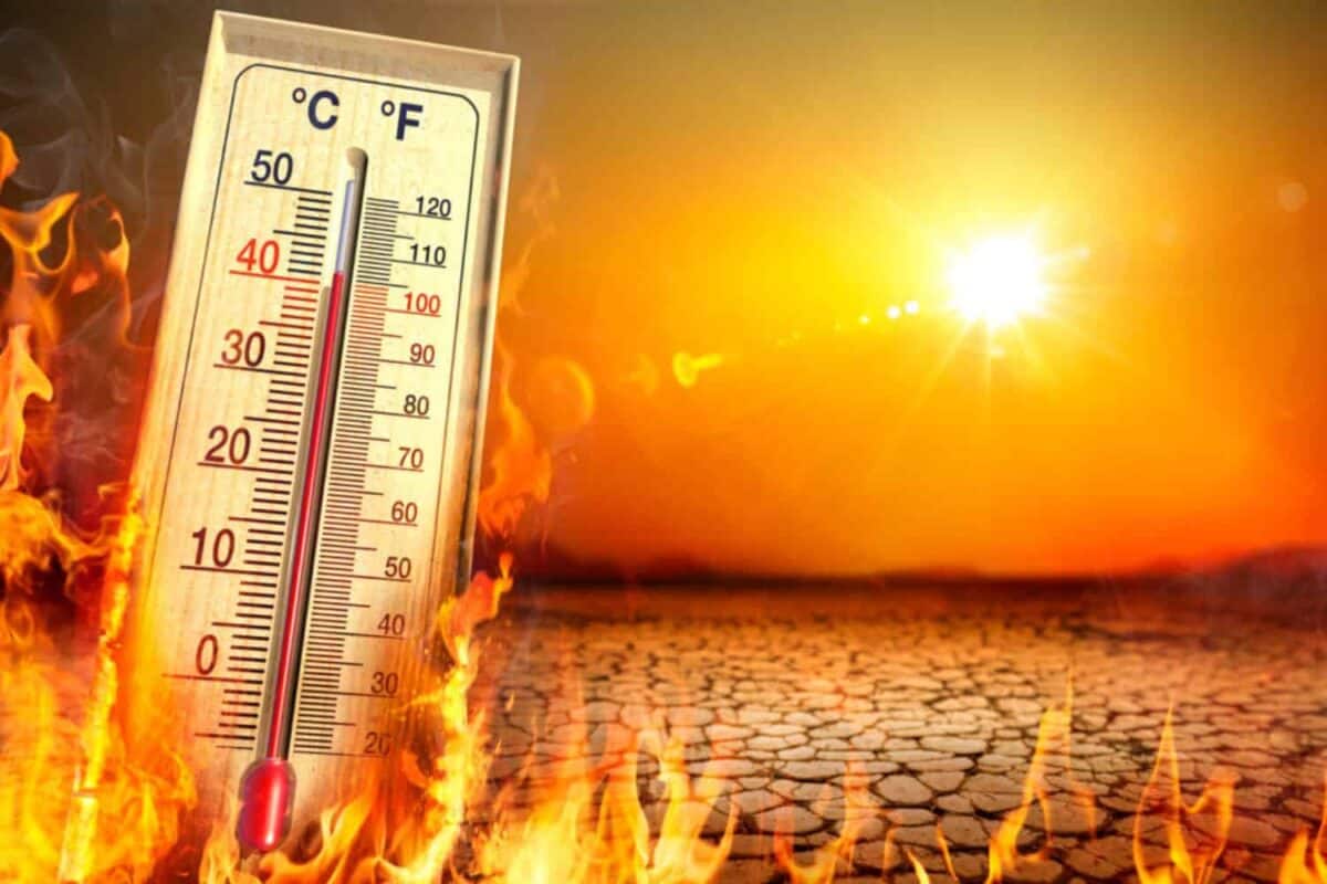 Heatwave hell hits Gauteng with scorching temperatures