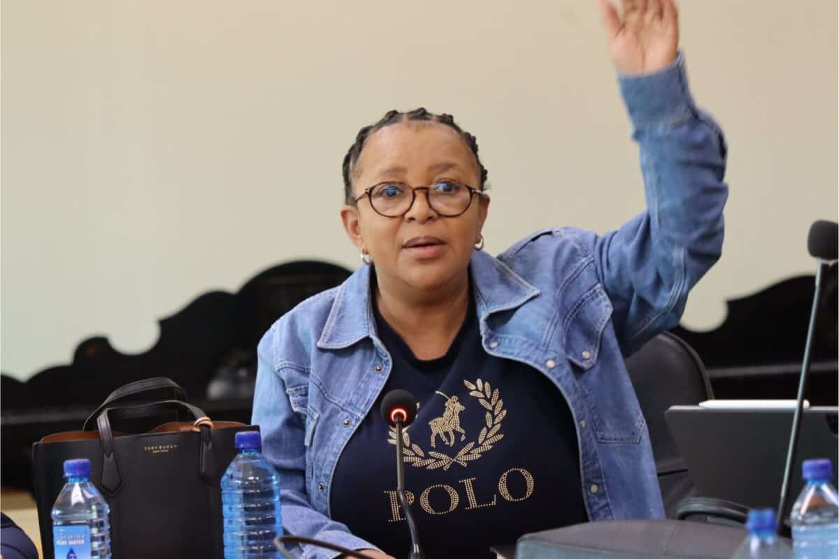 ANC and Hawks 'investigating' corruption-accused Premier