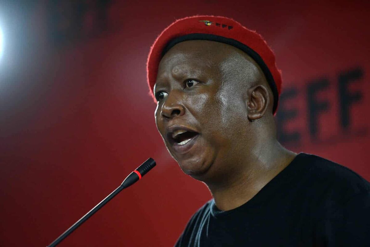 Elon Musk calls for Malema to be declared an international criminal