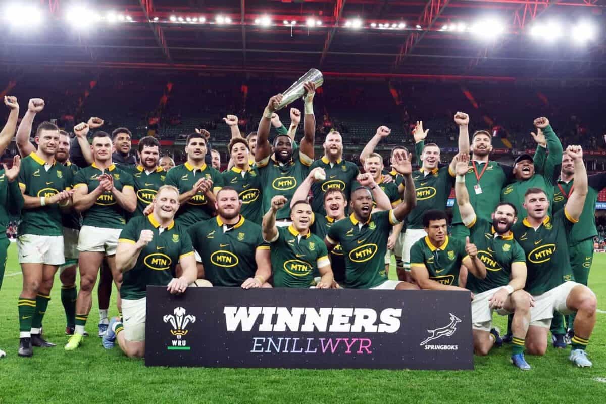 Springboks finish year on high note