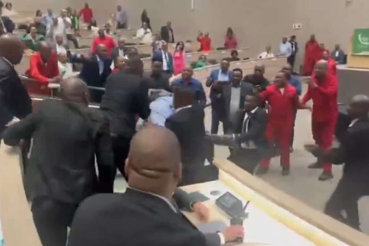 Tshwane council meeting turns violent, DA councillors manhandled