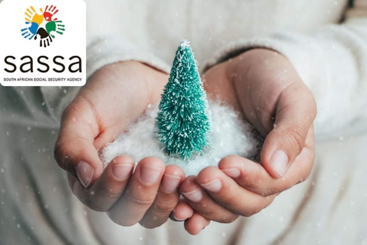 Sassa festive season grant: Payment dates for December and January ...