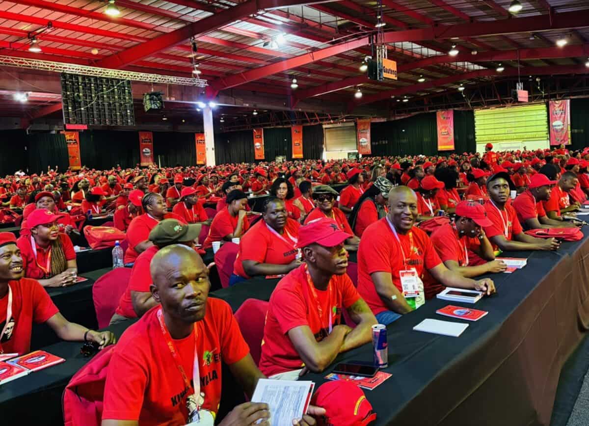 Calls for Malema to protect the EFF from MK party takeover