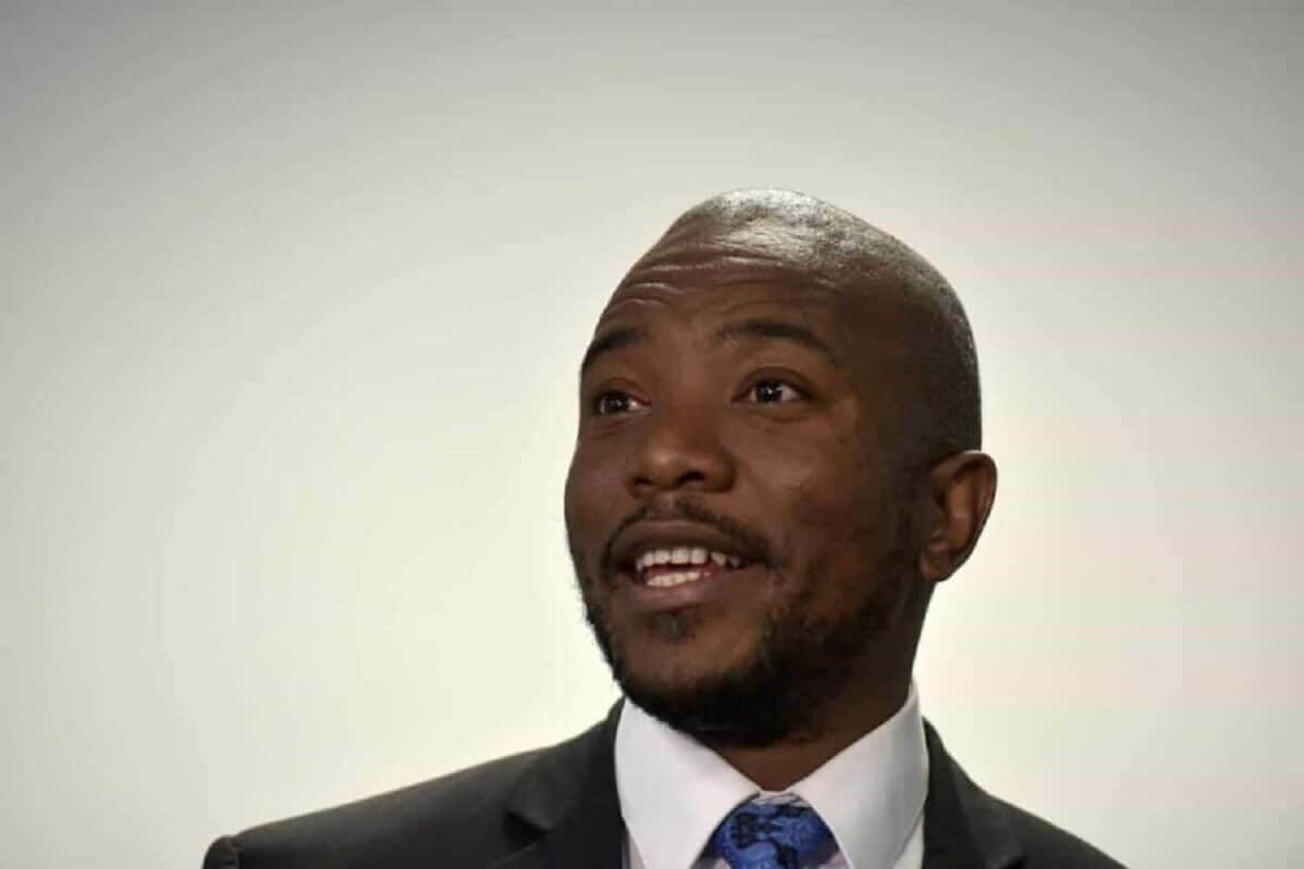 Maimane surprises EFF crowd at NPA, but rejects Malema's politics