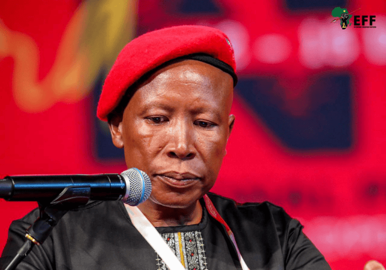 EFF NPA: We will not have illiterate leaders in our party – Malema