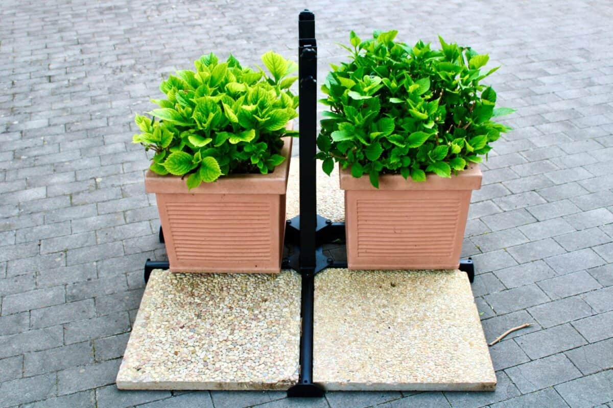 Two-pot retirement system: Alexforbes pays out R4.6 billion