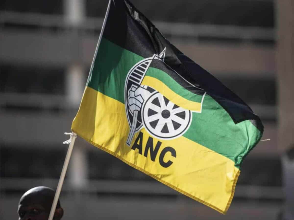 SRD grants meant to be a temporary measure, says ANC NEC | The Citizen