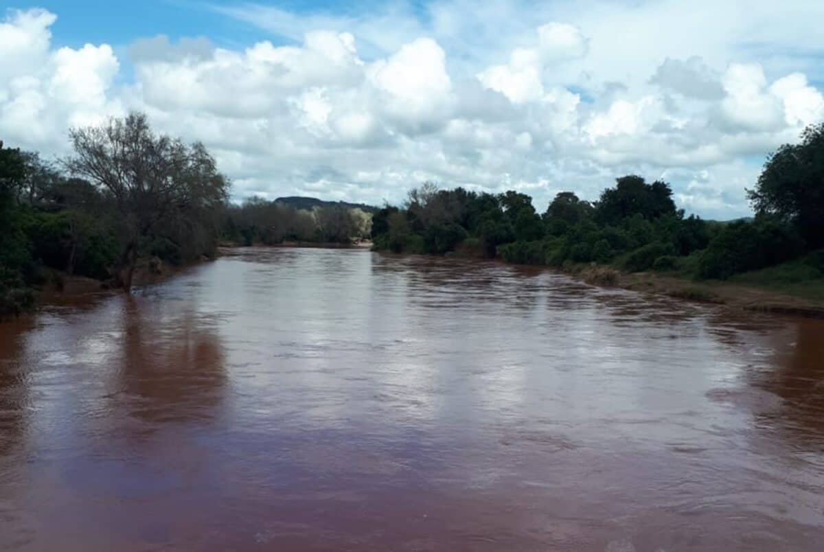 What is killing fish in Limpopo? | The Citizen