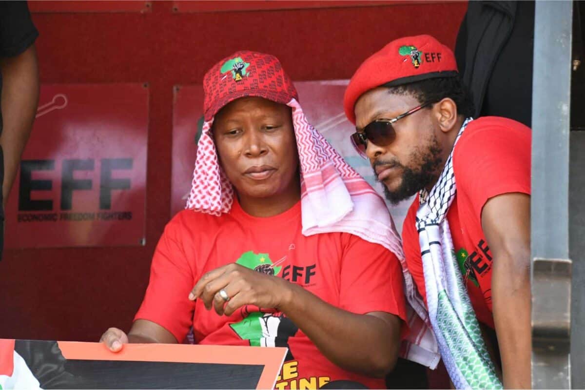 'I am not responsible for Mbuyiseni Ndlozi, I'm not his father,' says Malema | The Citizen