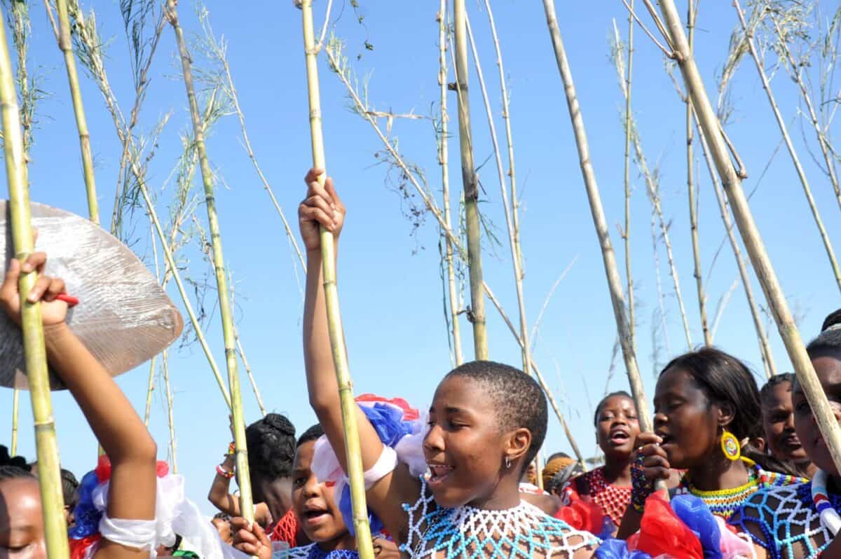 Rethinking the reed dance and its role in empowering girls | The Citizen