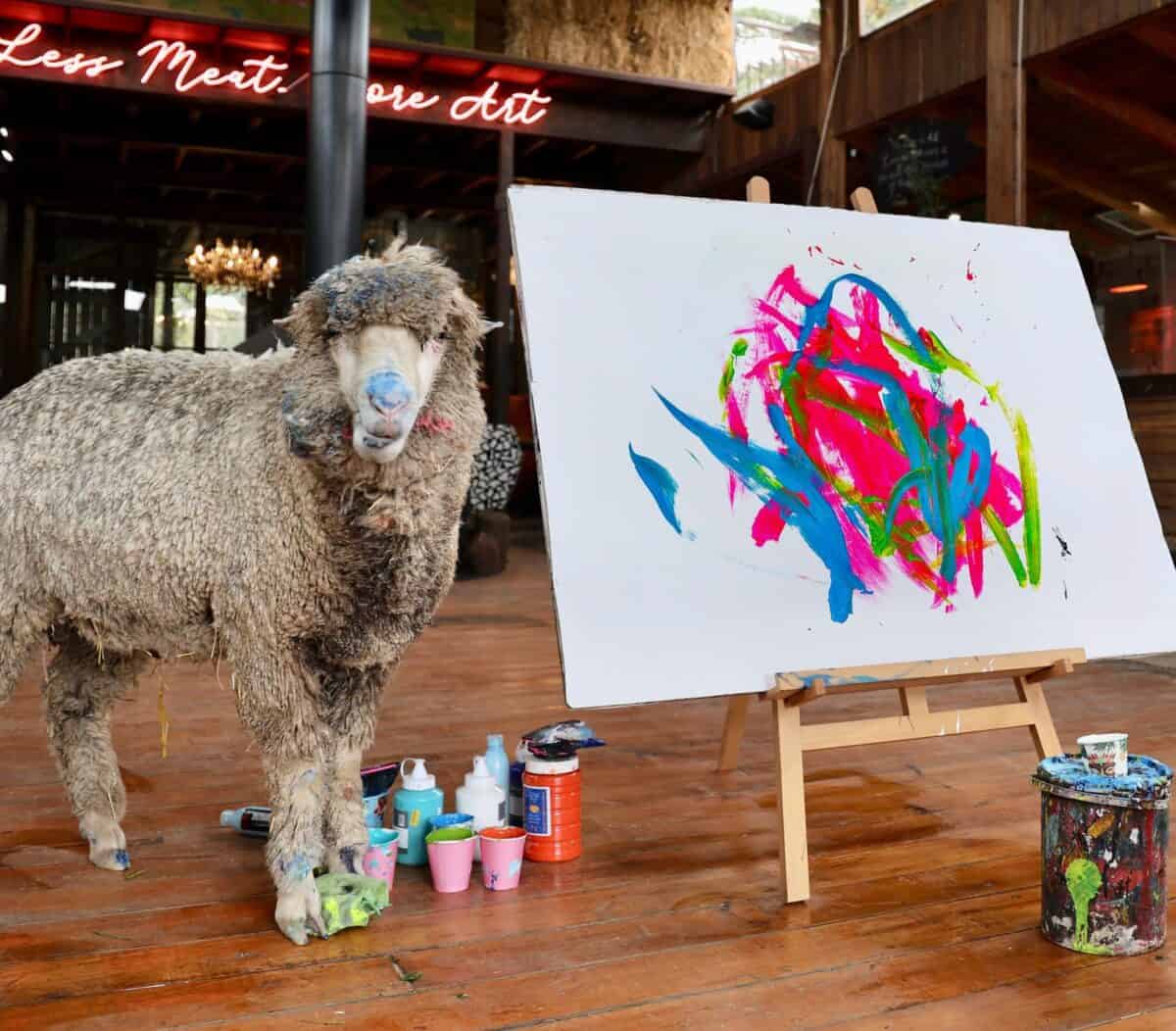 Baanksy, the sheep who learnt to paint from Pigcasso, still missing [VIDEO]