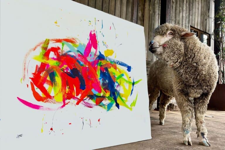 Baanksy, the sheep who learnt to paint from Pigcasso, still missing [VIDEO]