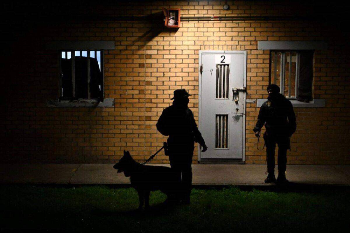 'A gun will be smuggled and someone will die': MPs raise alarm over ...