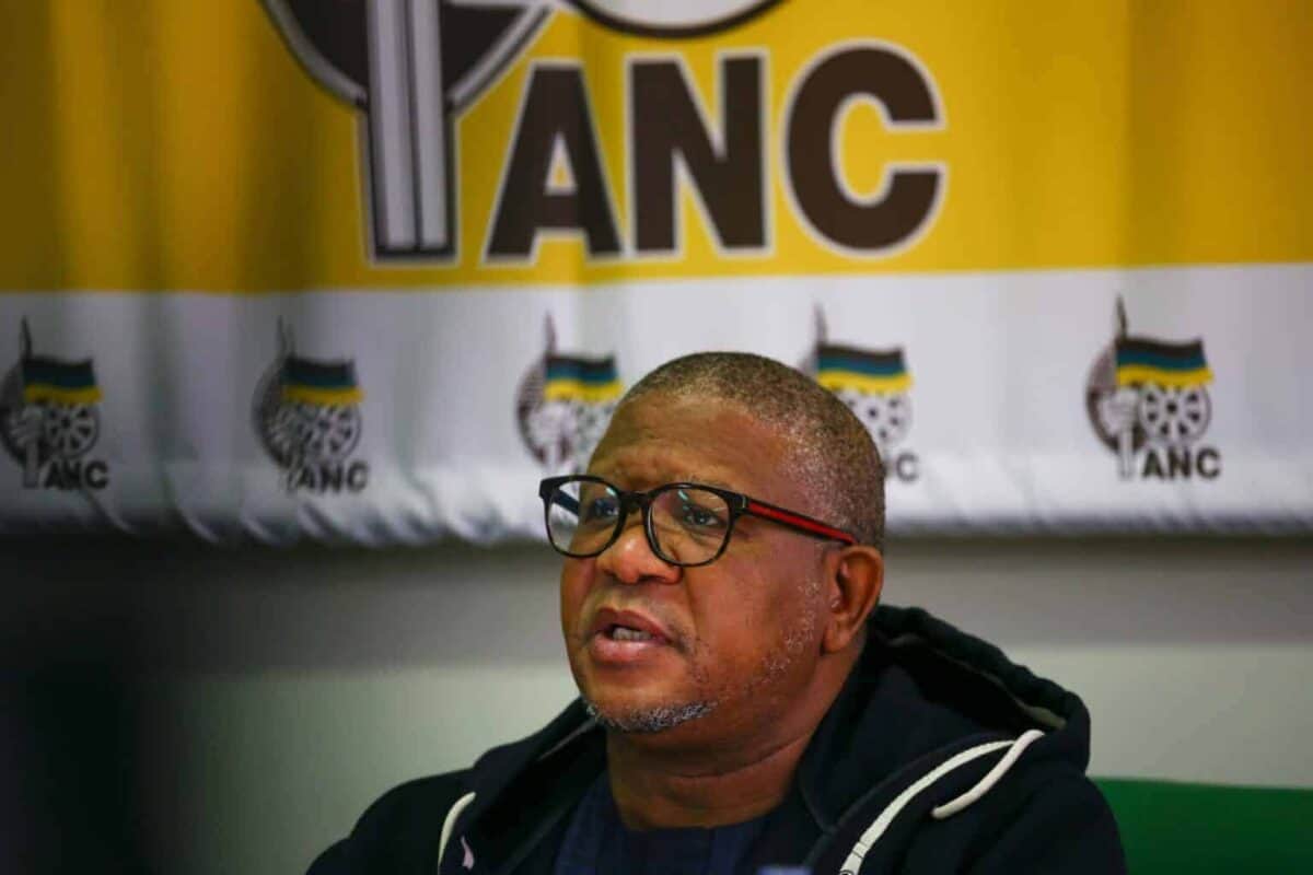 'Nobody has been thrown to the streets' — Mbalula as new ANC KZN ...