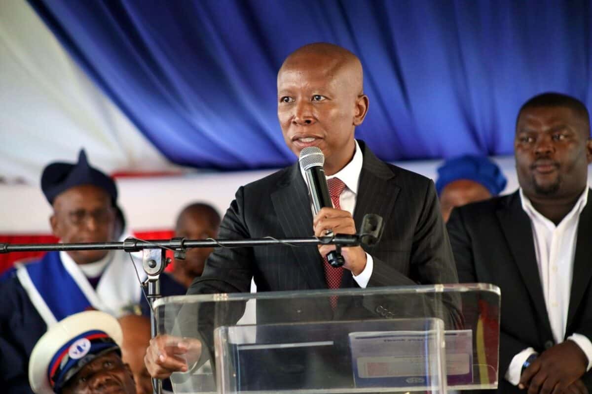 I'm happy to be an international criminal- Malema in rebuke to Musk