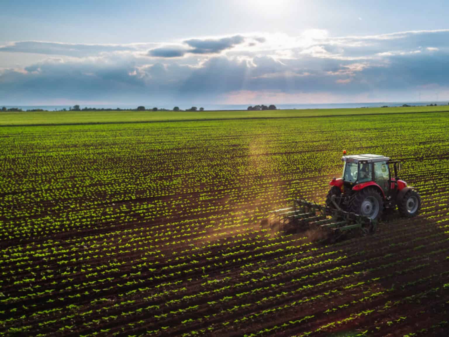 Expropriation: Another land reform bill in the works | The Citizen