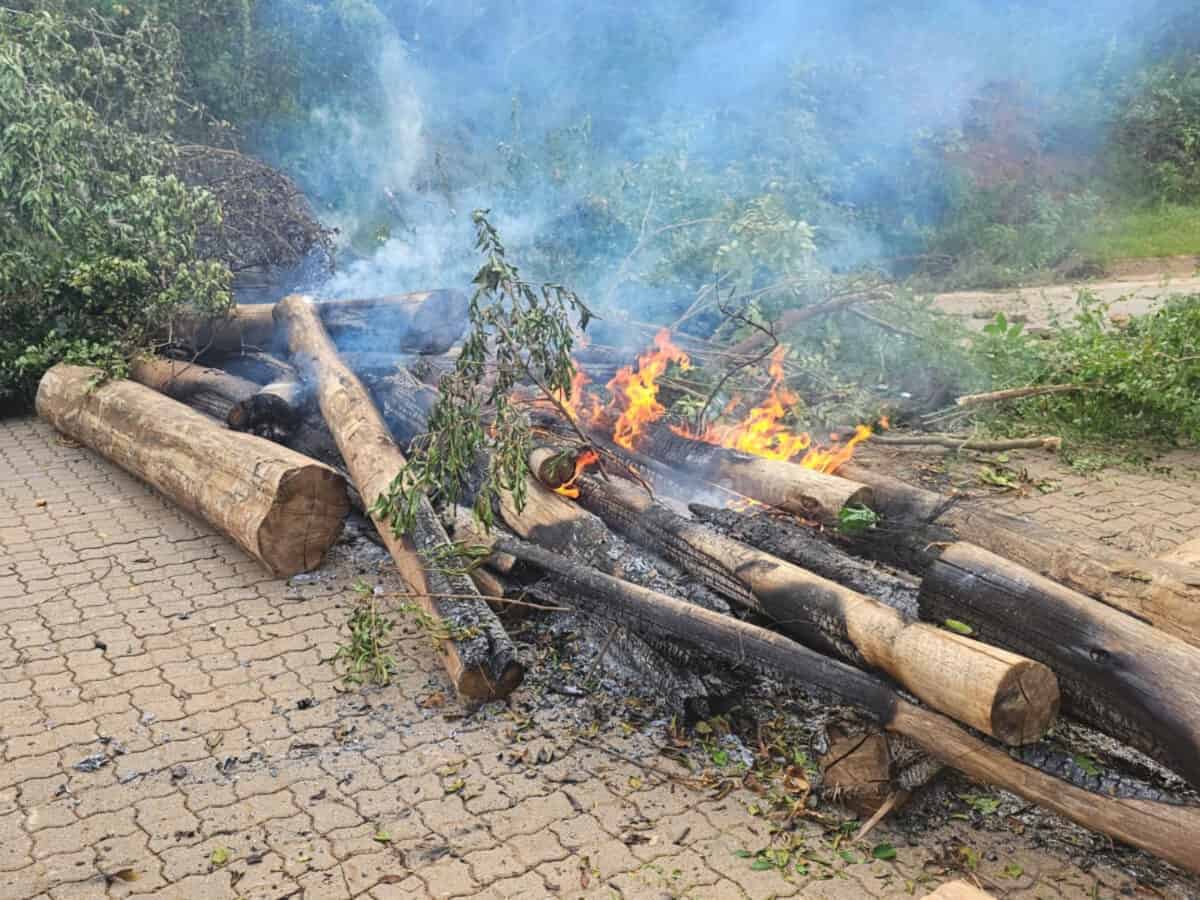 Lily Mine tragedy commemoration disrupted by burning debris | The Citizen
