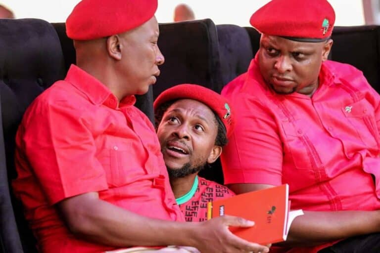 EFF bans Mbuyiseni Ndlozi from national elective conference