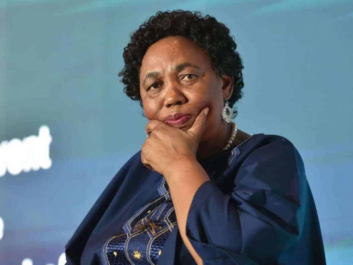 Angie Motshekga ‘rudderless’ — Did defence minister inherit a toothless ...