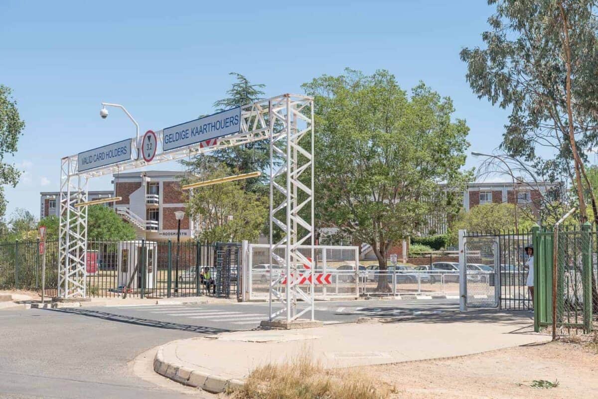 Education stories, breaking news and comment | The Citizen