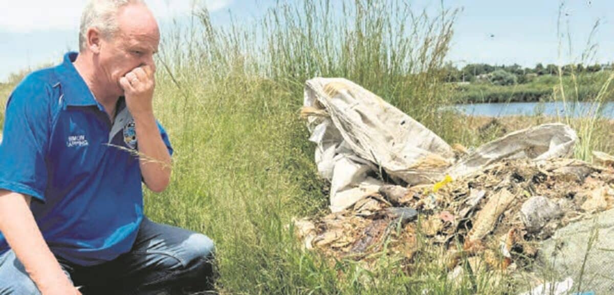 Who’s dumping mountains of vrot fish to pose health risk? | The Citizen