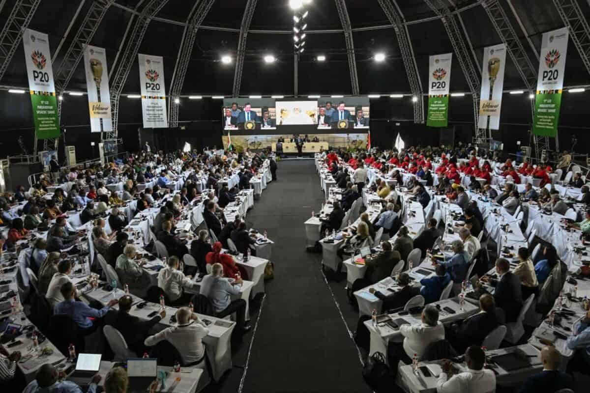 EXPLAINER: Budget speech tabled, but will it be approved without DA's backing?