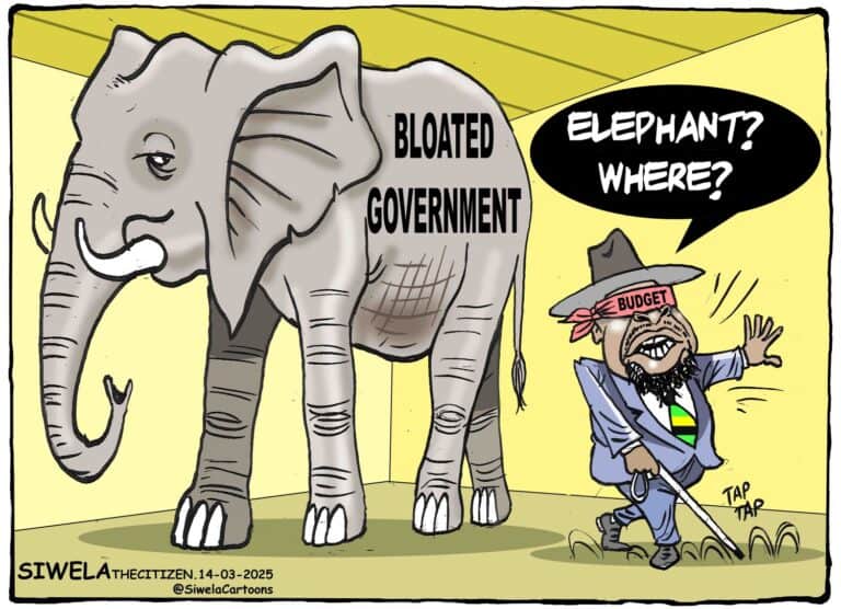 Cartoon of the day: 14 March 2025 | The Citizen