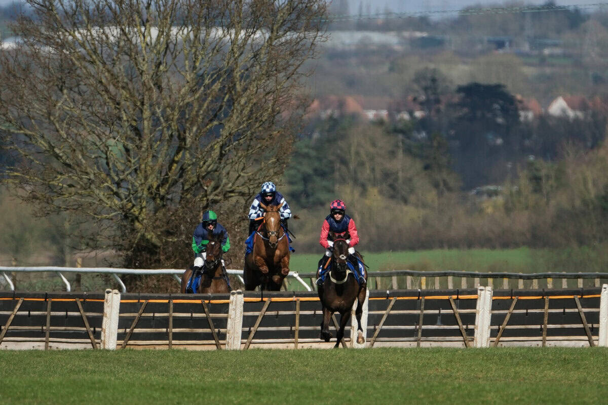 Cheltenham leaps hurdles to retain magic | The Citizen