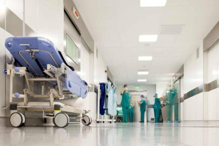 Gauteng Health addresses 'outbreak' linked to maggots in clinics | The ...