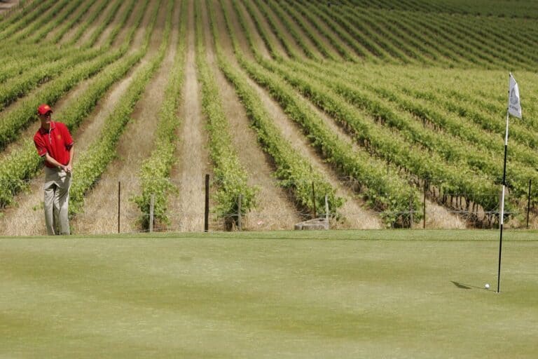 SA Open to be played in Stellenbosch in 2026 | The Citizen