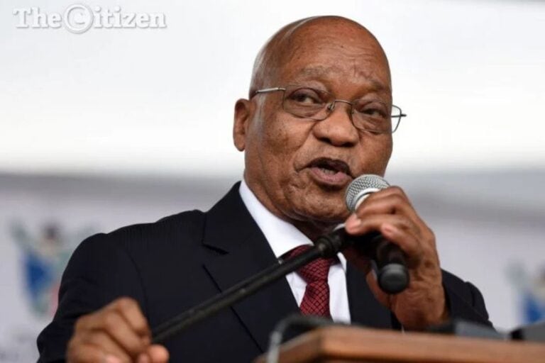 Jacob Zuma’s adorable TikTok dance with granddaughter goes viral